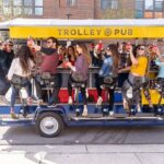 Trolley Pub Public Tour - Why This Tour Makes Sense for You
