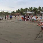 Troncones, Manzanillo Bay and Majahua Beach Tour - The Value of the Tour