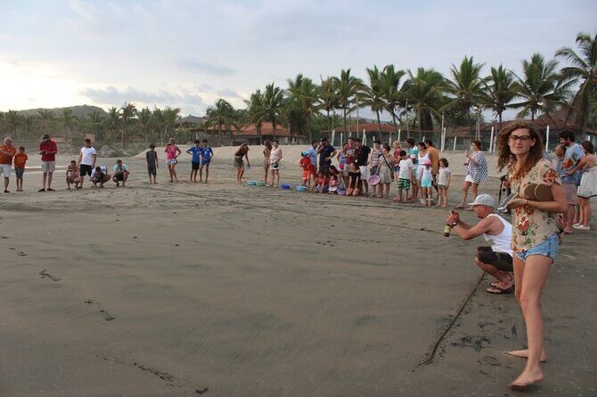 Troncones, Manzanillo Bay and Majahua Beach Tour - The Value of the Tour