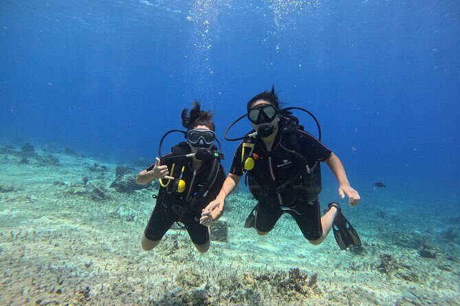 Try diving without previous experience from shore - What To Expect During Your Shore Dive