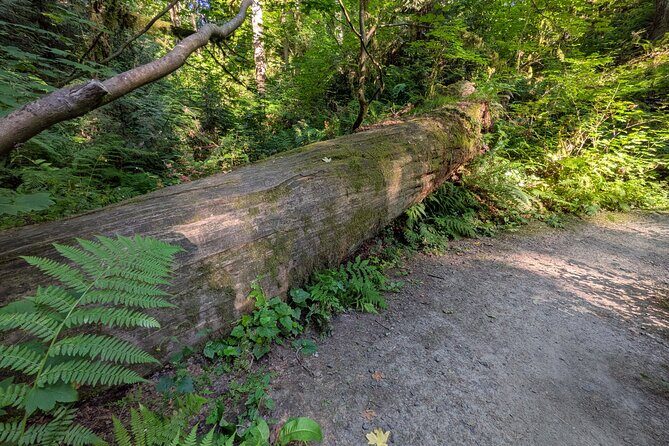 Tryon Creek Eco-tour With a Master Naturalist - Who Will Love This Tour?