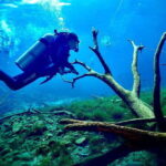 Tulum: 2 Tank Cenote Dive - Who Will Love This Tour?