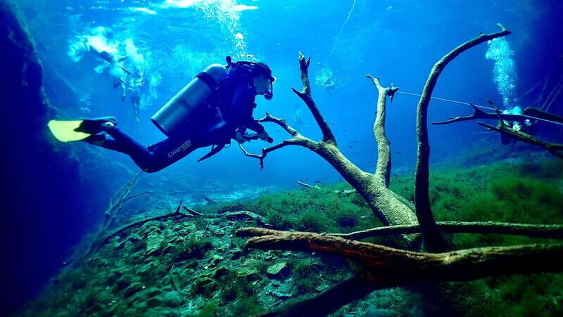 Tulum: 2 Tank Cenote Dive - Who Will Love This Tour?