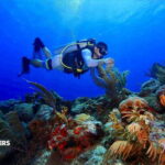 Tulum: 2 Tank Reef Diving - Introduction to the Tour