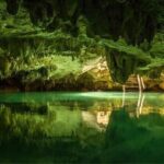 Tulum 4 Cenotes at home Turtle and Sculpture Mother Nature - The Reality of the Experience