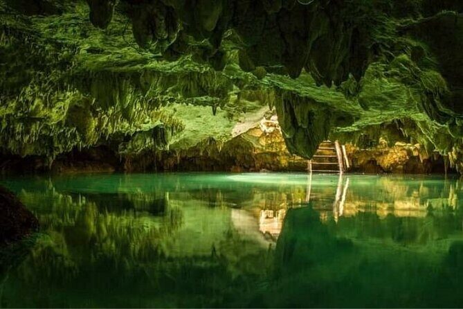 Tulum 4 Cenotes at home Turtle and Sculpture Mother Nature - The Reality of the Experience