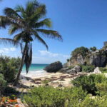Tulum Archaeological Zone: Cenote, Lunch & Transfer - Authentic Mexican Lunch in a Mayan Village