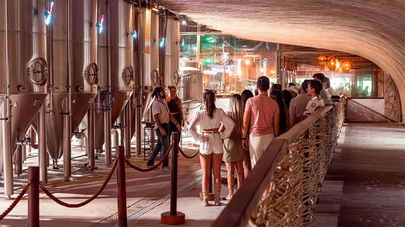 Tulum Beer Tasting Brewery Tour Beer School & Transportation - FAQ