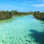 Tulum Boat Tour Sian kan muyil - Final Thoughts