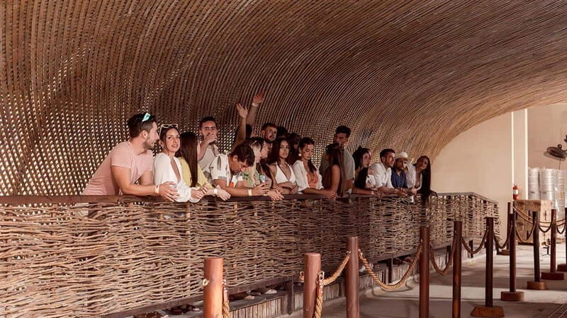 Tulum Brewery Tour & Beer Flight (Tasting Craft Beer) - Why Choose This Tour? Key Points