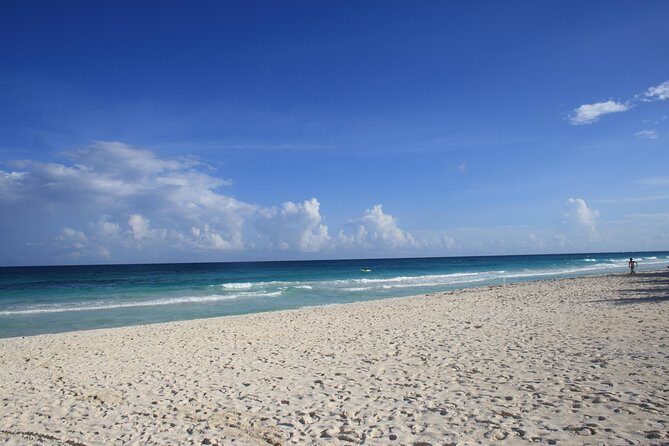 TULUM, CENOTE, MYSTIKA MUSEUM, TURTLES SNORKELING (Private) - Transportation and Logistics