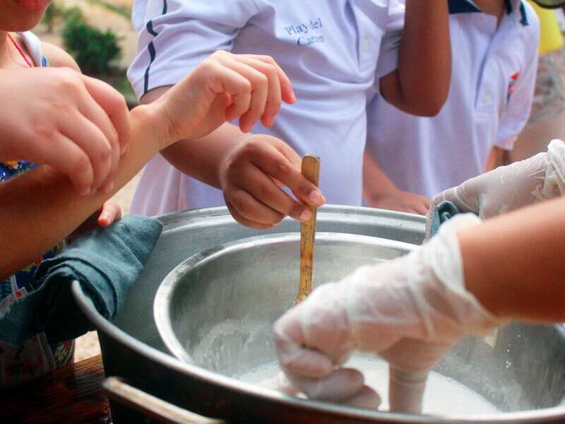 Tulum: Chocolate & Honey Sanctuary Experience with Lunch - The Value of the Experience
