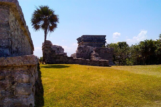 Tulum, Coba, Cenote & Playa del Carmen Tour - What’s Included and What’s Not