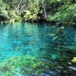 Tulum & Coba Private Tour - Who Will Love This Tour?