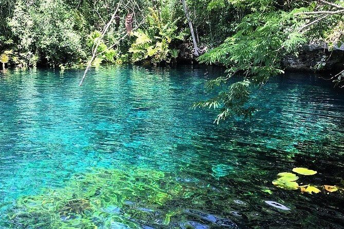 Tulum & Coba Private Tour - Who Will Love This Tour?