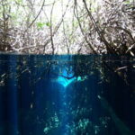 Tulum: Discover Scuba Diving in Cenotes - Who Should Consider This Tour?