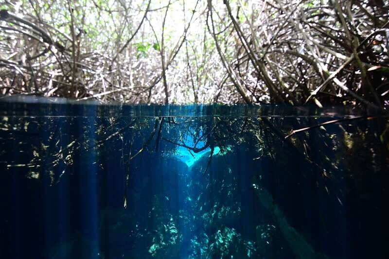 Tulum: Discover Scuba Diving in Cenotes - Who Should Consider This Tour?