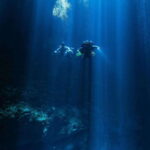 Tulum: Discover the Depths of Dos Ojos Cenote - The Itinerary: What To Expect