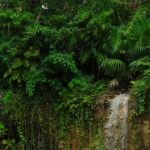 Tulum Essence Art and Photography Tour - Authentic Experiences & Traveler Feedback