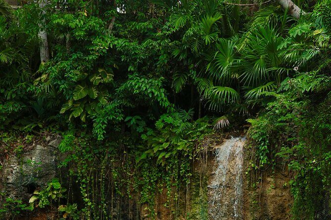 Tulum Essence Art and Photography Tour - Authentic Experiences & Traveler Feedback