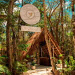 Tulum: Floating Breakfast in The Yellow Nest (Day Pass) - The Itinerary in Detail