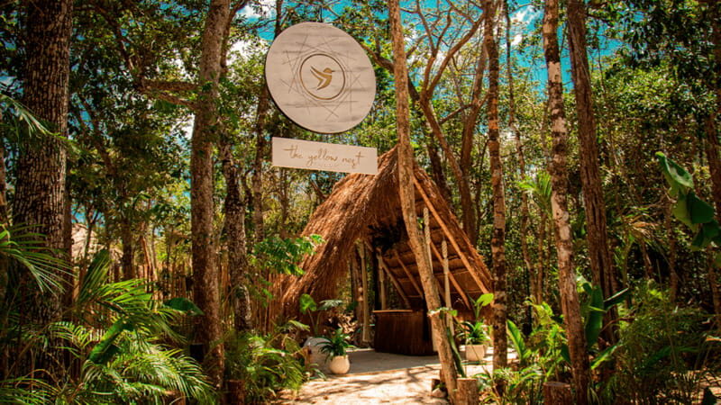 Tulum: Floating Breakfast in The Yellow Nest (Day Pass) - The Itinerary in Detail