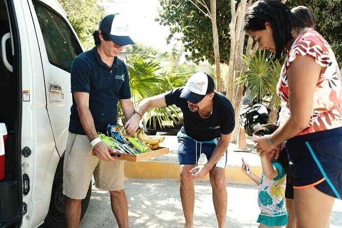 Tulum Half Day Plus Jaguar Park and Playa Paraíso Tour - Authenticity and What Travelers Are Saying