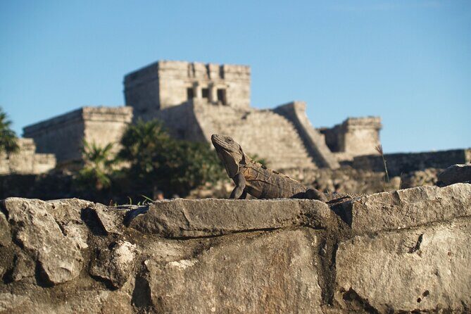 Tulum Highlights Early Easy and Crowd Free - Who Will Appreciate This Tour?