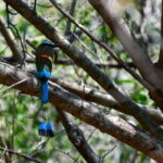 Tulum: Monkey Sanctuary Adventure - Detailed Itinerary Breakdown