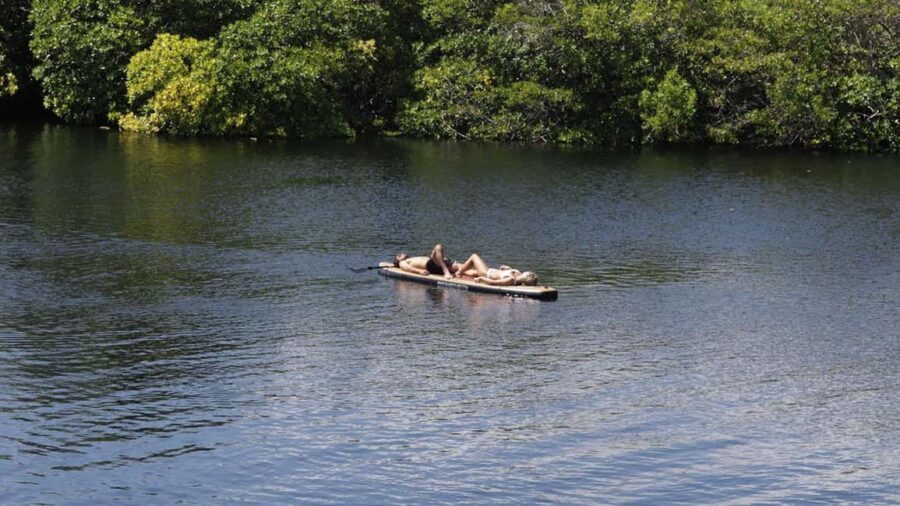 Tulum: Pargo Restaurant Cenote Dining Experience - The Logistics and Practical Details
