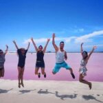 Tulum: Pink Lake, Rio Lagartos, Crocodile Flamingo Adventure - What the Tour Includes and How It Unfolds