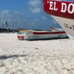 Tulum: Ruins by Boat, Swim with Turtles & Cenote Tour - Key Highlights of the Tour