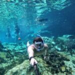 Tulum Ruins & Casa Tortuga Eco Adventure! 4 Cenotes from Tulum City - Analyzing the Value