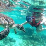 Tulum Ruins, Snorkeling with Turtles and Underground Caves - What the Reviews Reveal