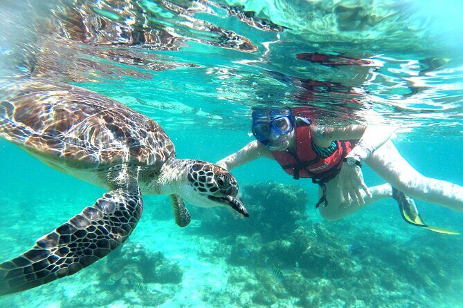 Tulum Ruins, Snorkeling with Turtles and Underground Caves - What the Reviews Reveal