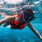 Tulum: Snorkeling at Paradise Reef - Is This Tour Right for You?