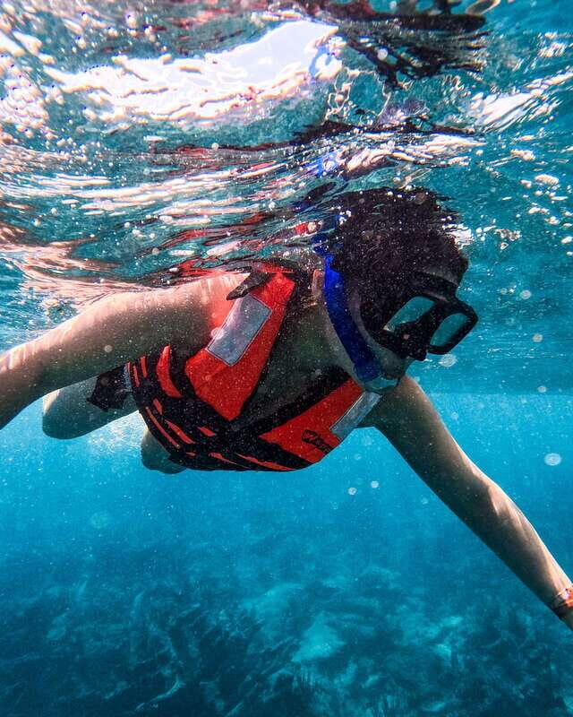 Tulum: Snorkeling at Paradise Reef - Is This Tour Right for You?