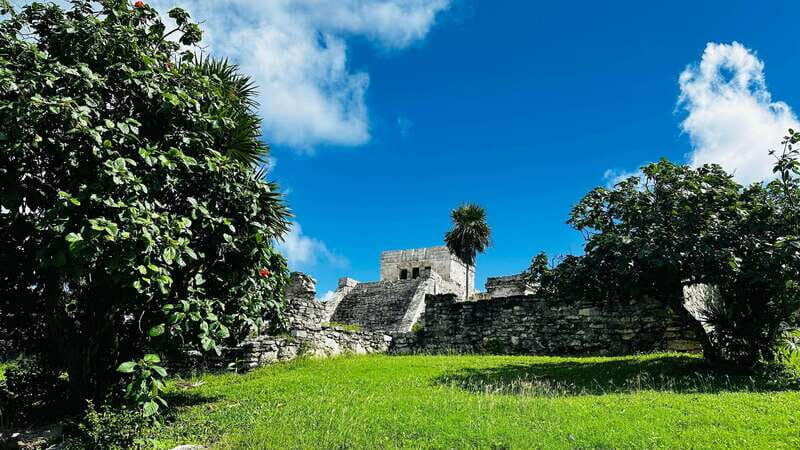 Tulum, Snorkeling & Cenote Adventure - What Makes This Tour Stand Out