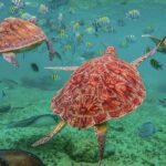 Tulum, Snorkeling with Sea Turtles, Cenote and Beachside Lunch - Why This Tour Delivers Value