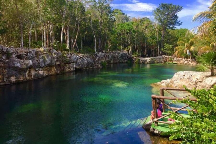 Tulum: Tour 4 Cenotes Casa Tortuga - Why the Tour Offers Good Value