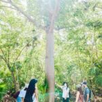 Tulum Unveiled In Expert Guided Tour for True History Enthusiasts - Practical Details That Matter