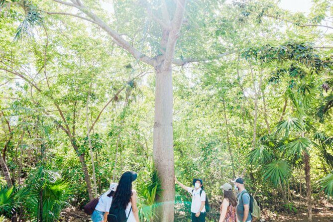 Tulum Unveiled In Expert Guided Tour for True History Enthusiasts - Practical Details That Matter