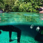 Tulum: Wonders of the Underwater World Discover Scuba Diving - Logistics and Practical Details
