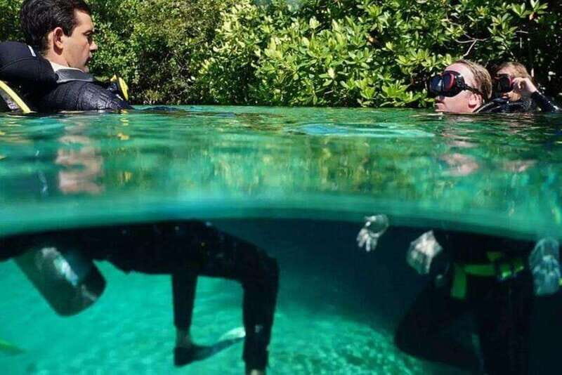 Tulum: Wonders of the Underwater World Discover Scuba Diving - Logistics and Practical Details
