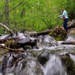 Turnagain Arm Highlights Photo Tour - Summing up: who this tour is perfect for