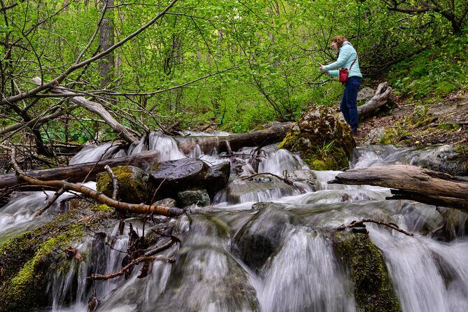Turnagain Arm Highlights Photo Tour - Summing up: who this tour is perfect for
