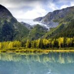 Turnagain Arm Sightseeing Experience and Wildlife Tour - Practical Details and Comfort