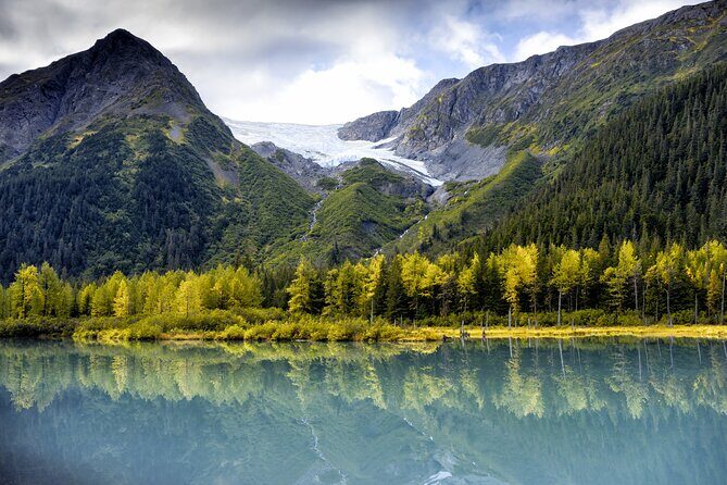 Turnagain Arm Sightseeing Experience and Wildlife Tour - Practical Details and Comfort
