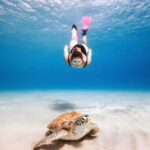 Turtle Sightseeing at Akumal & Underground Caves Tour - Why This Tour Offers Genuine Value