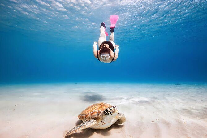 Turtle Sightseeing at Akumal & Underground Caves Tour - Why This Tour Offers Genuine Value
